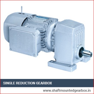 Single Reduction Gearbox | Vertical Worm Reduction Gearbox